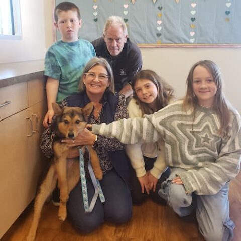 Home - Valley Humane Society