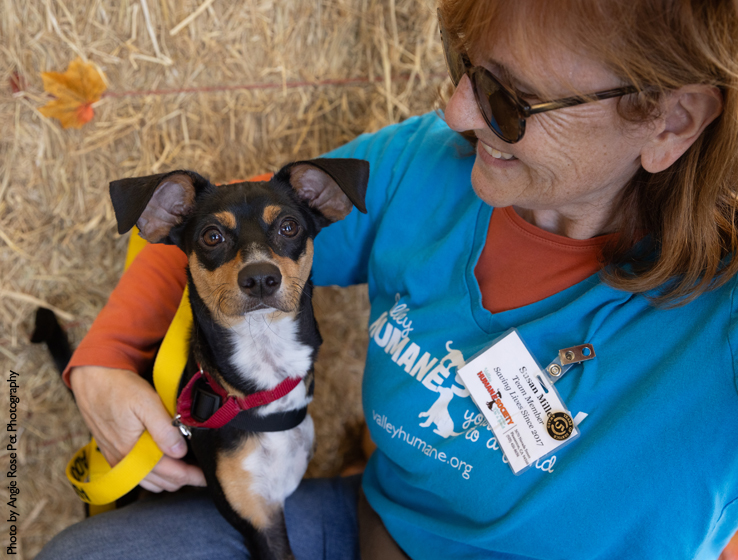 Home - Valley Humane Society