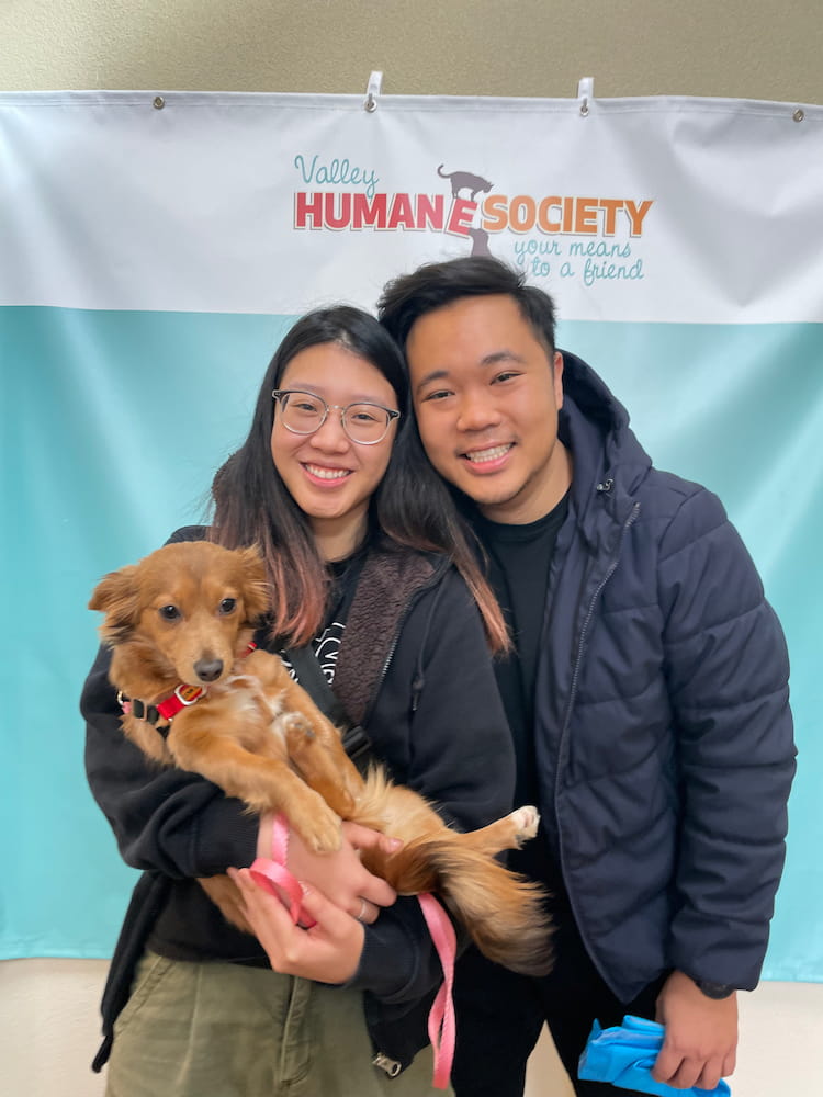 Adoption Process - Valley Humane Society