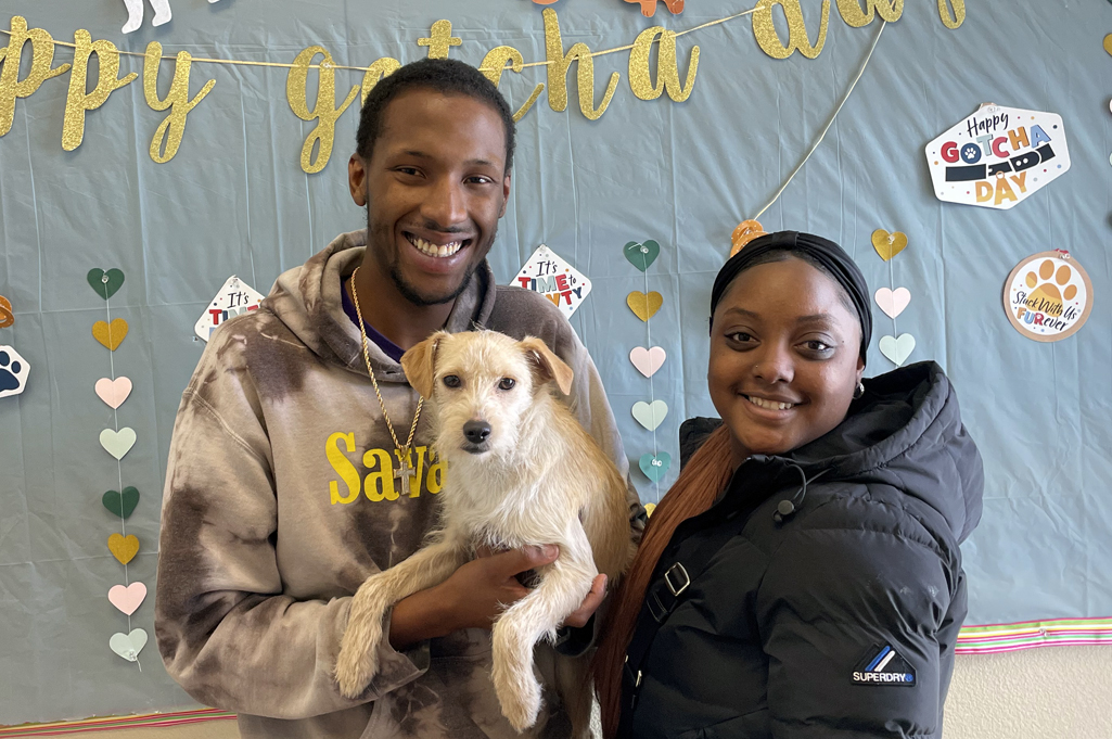 Adopt a Dog - Valley Humane Society