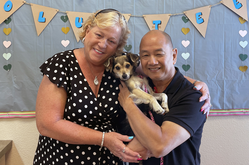 Adopt - Valley Humane Society