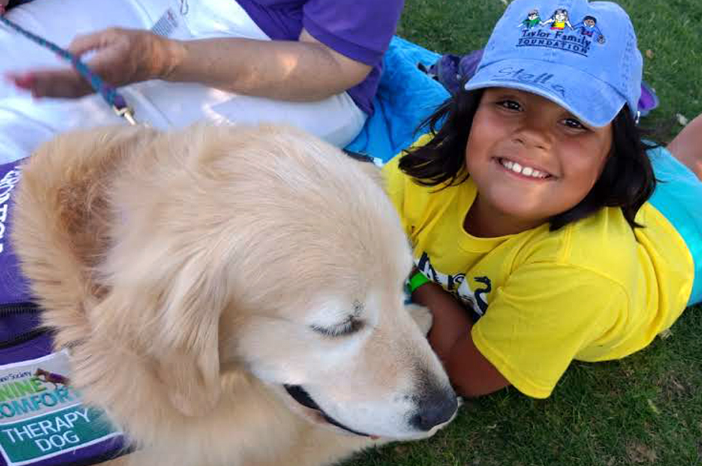Canine Comfort Pet-Assisted Therapy - Valley Humane Society