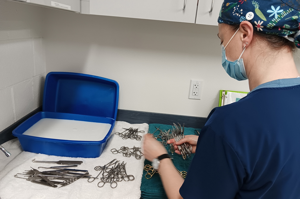 Phil Scholz Veterinary Surgery Center - Valley Humane Society