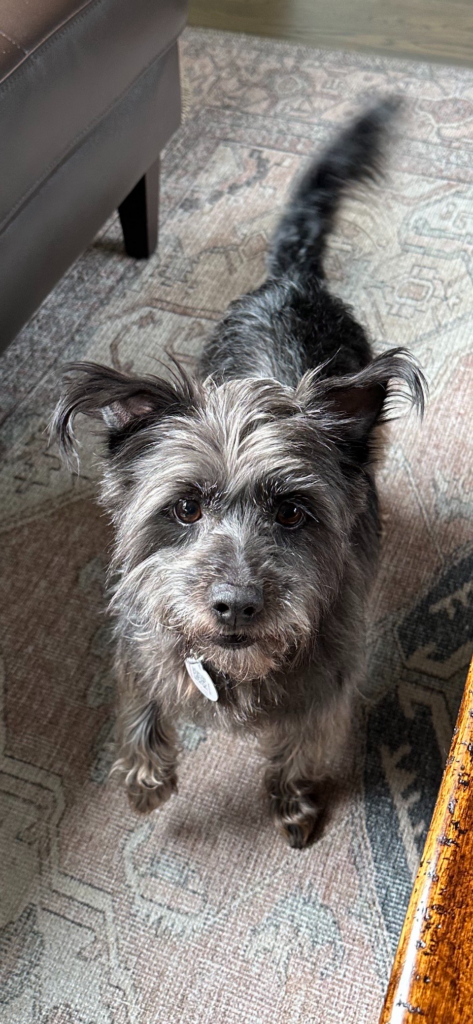 Bob Vance - Valley Humane Society