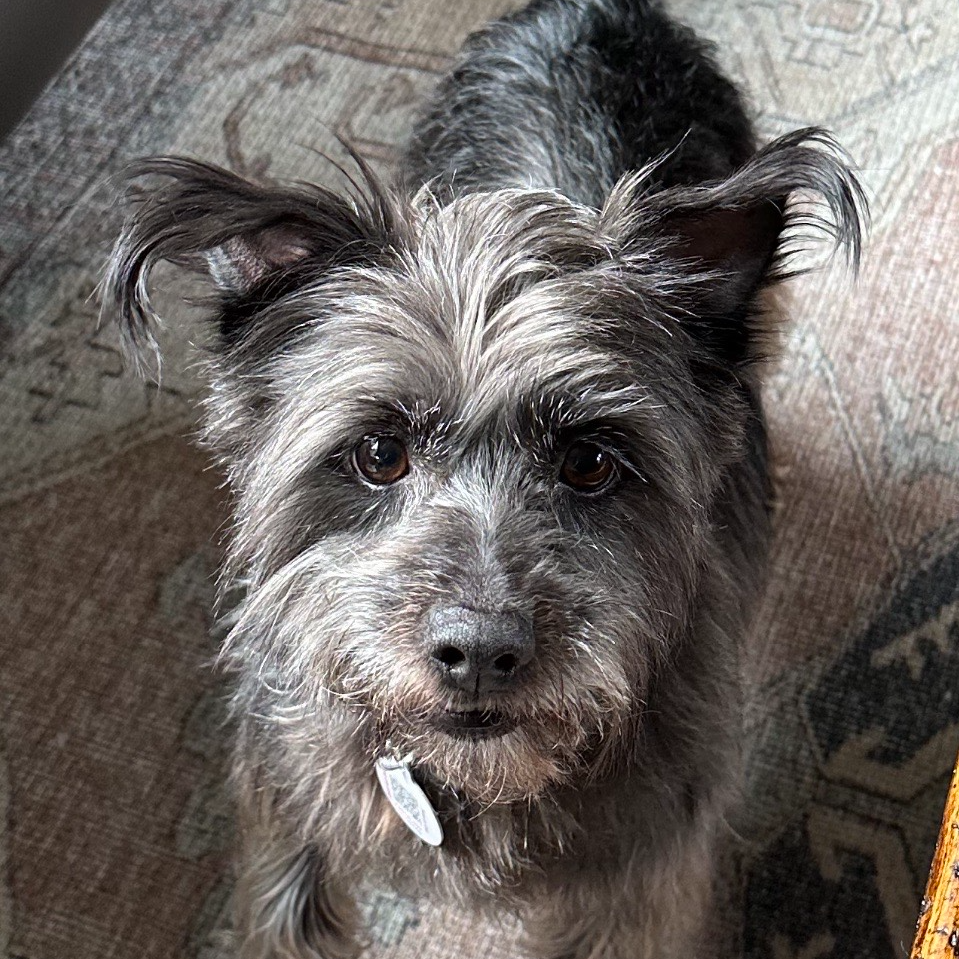 Bob Vance - Valley Humane Society