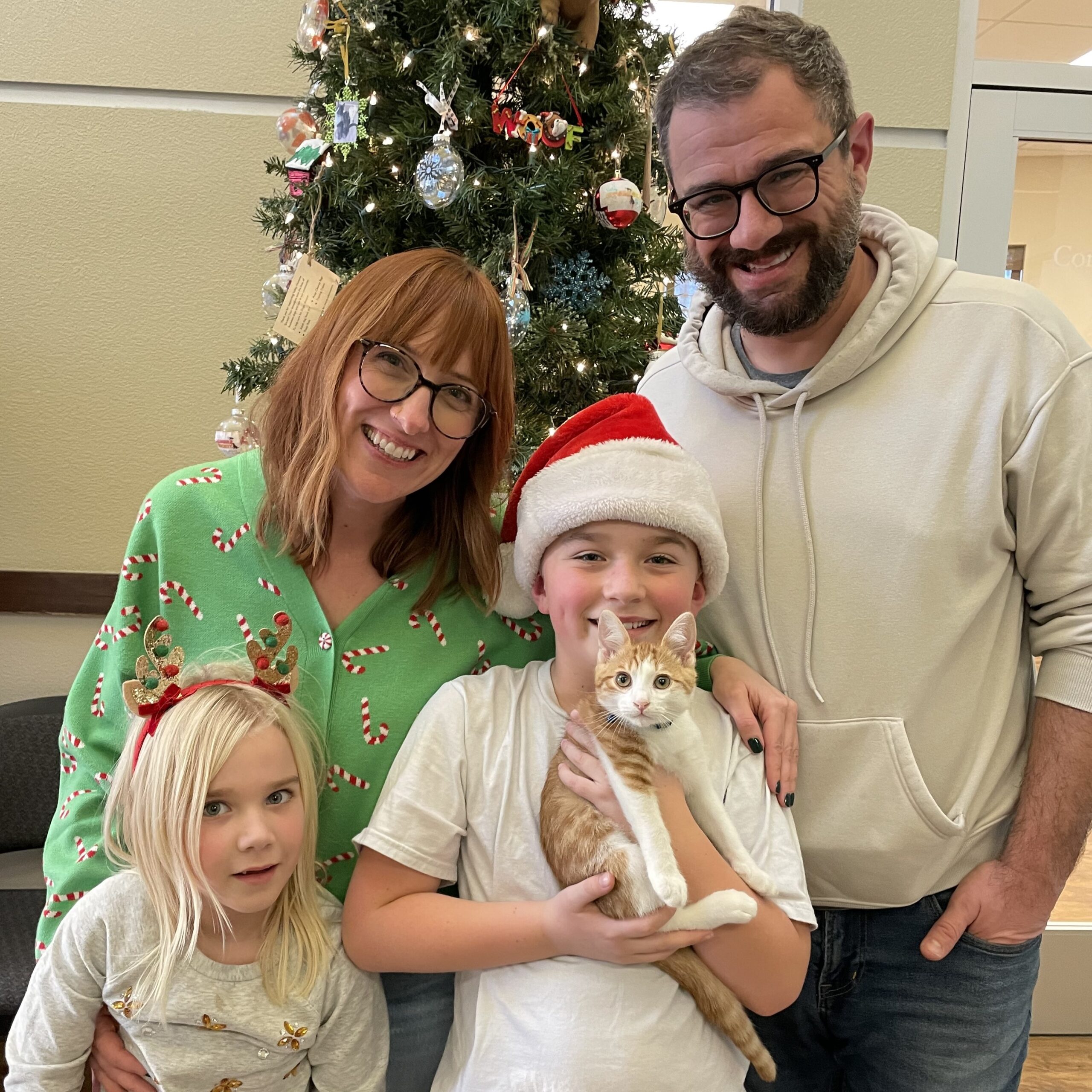Home for the Holidays 2024 Pet Adoption Event - Valley Humane Society