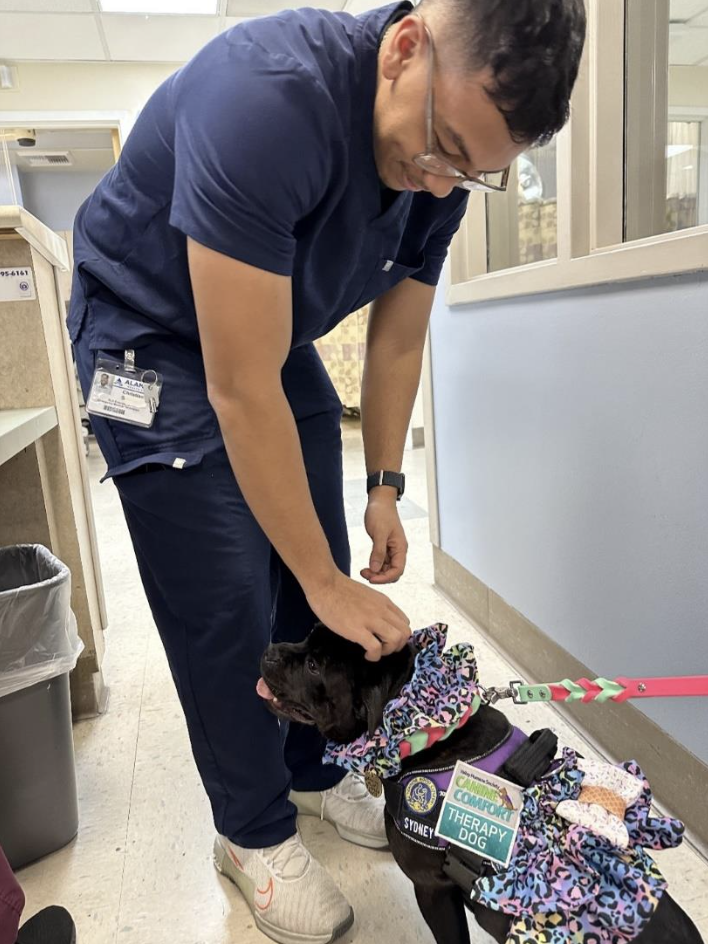 Valley Humane’s Canine Comfort Teams Join AHS’s New Visitation Program ...