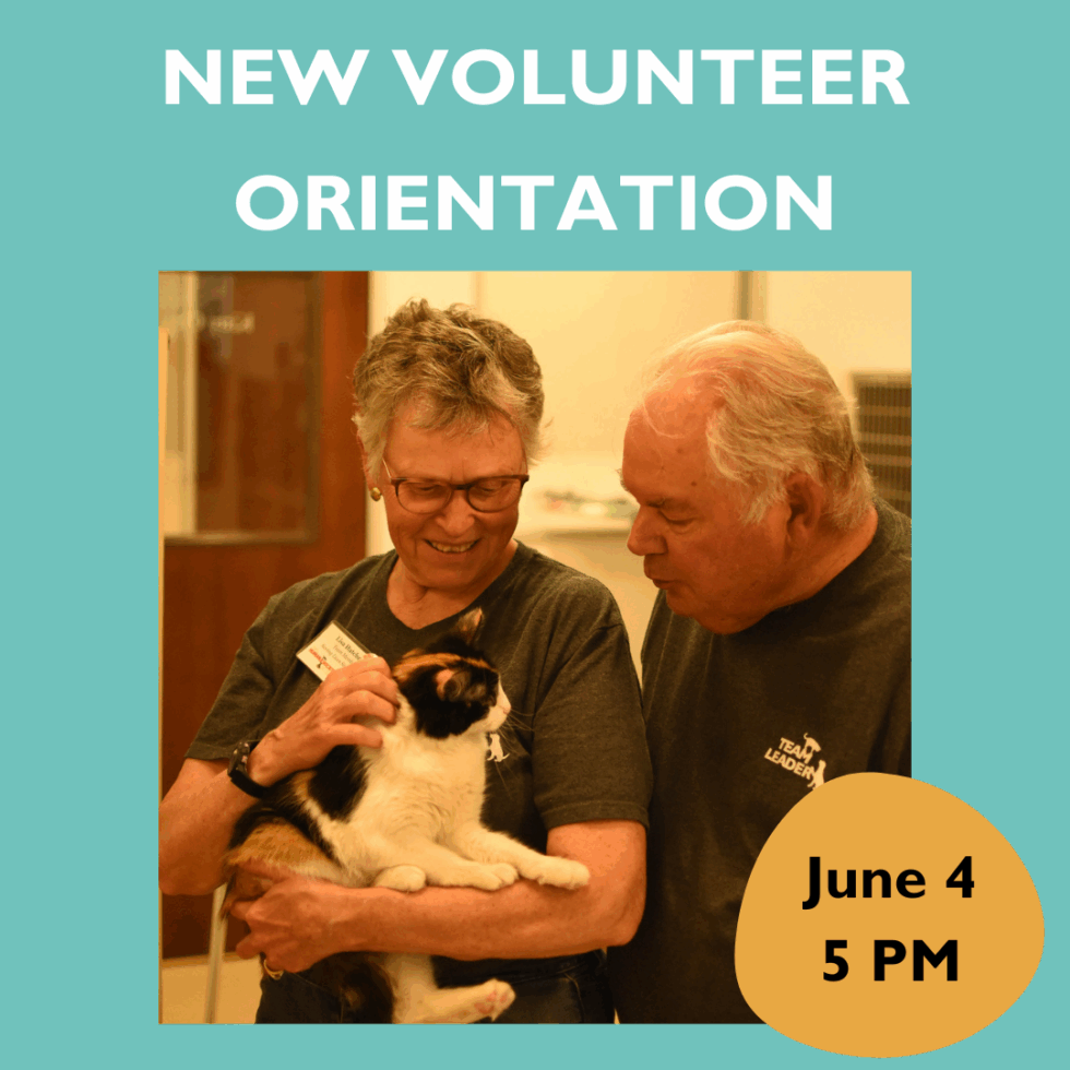 Volunteer Orientation - Valley Humane Society