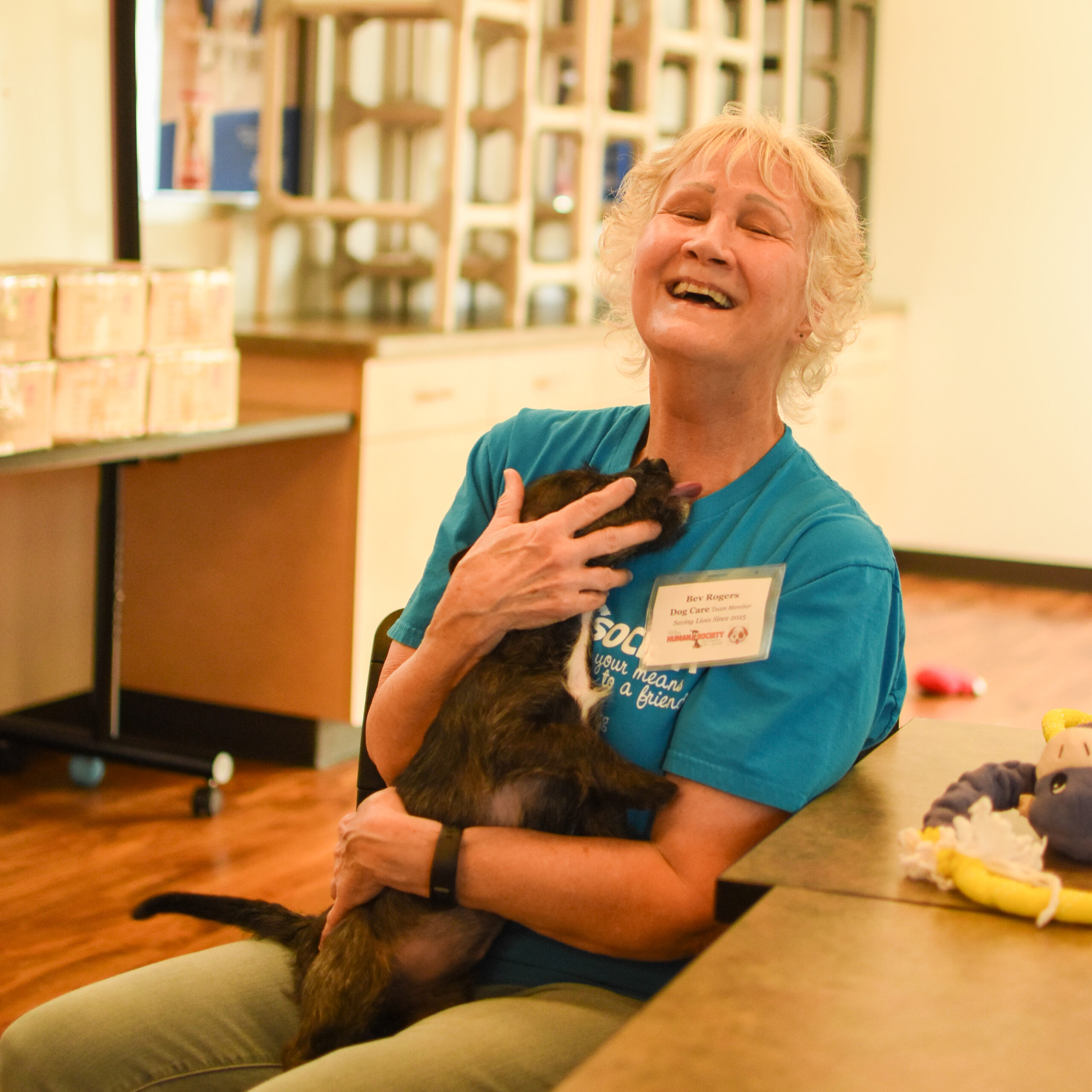 Home - Valley Humane Society